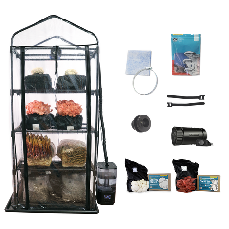 ShroomRoom Automated Martha Tent Bundle | Automated Mushroom Grow Kit ...