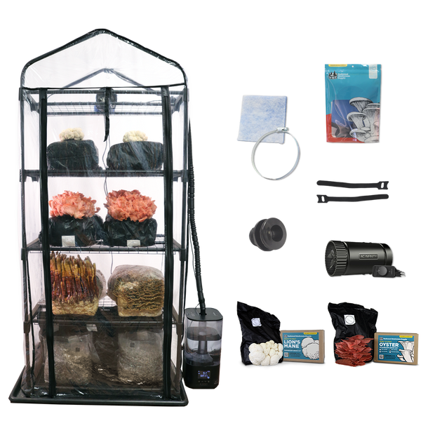 ShroomRoom Automated Martha Tent Bundle | Automated Mushroom Grow Kit ...